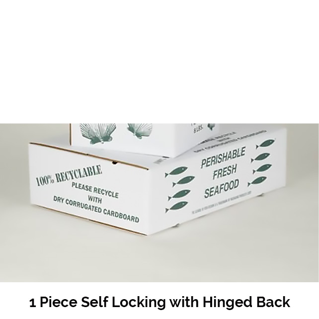 100% Recyclable Alternative Coated Box - PPC