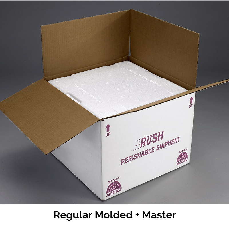 Molded Foam Shippers