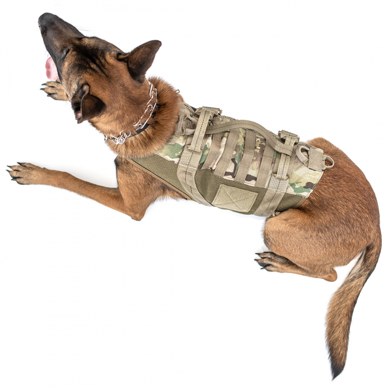 London Bridge Trading (LBT) - Tactical K-9 Harness