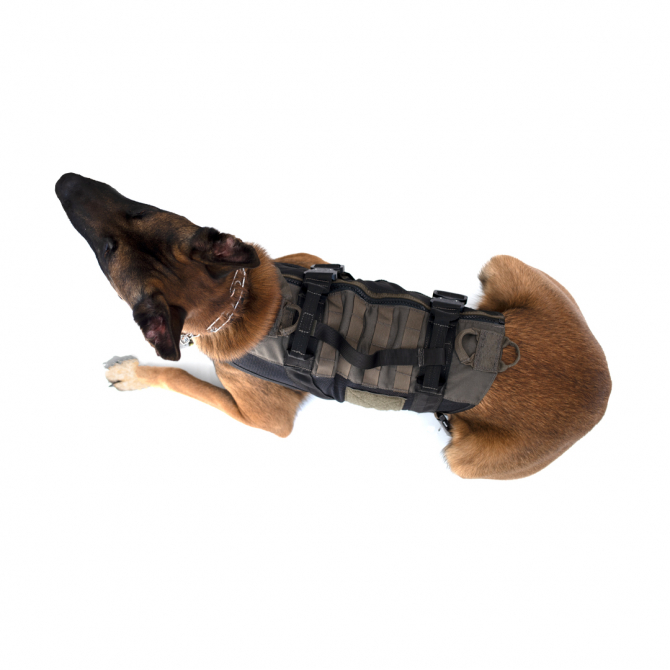 London Bridge Trading (LBT) - Tactical K-9 Harness